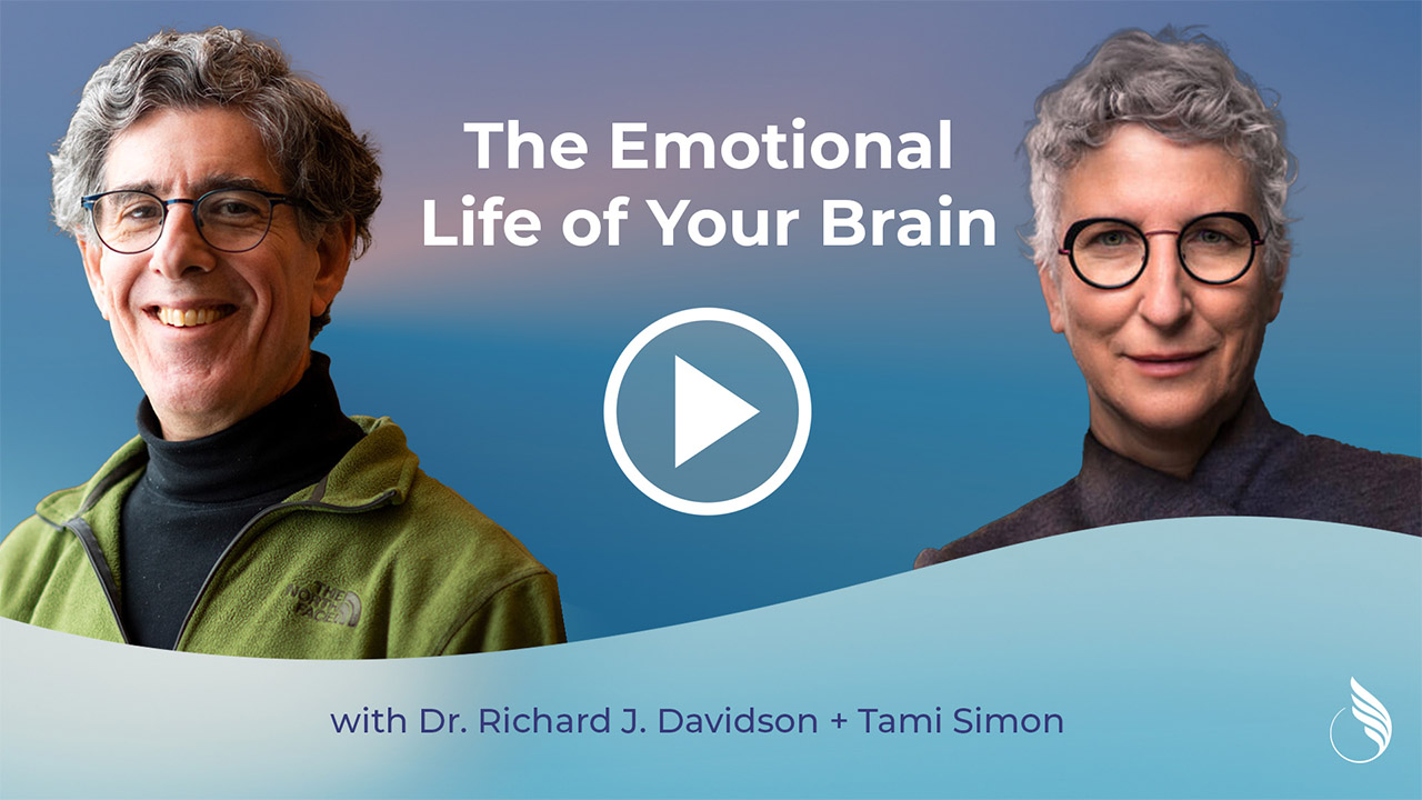 The Emotional Life of Your Brain with Dr. Richard J. Davidson + Tami ...